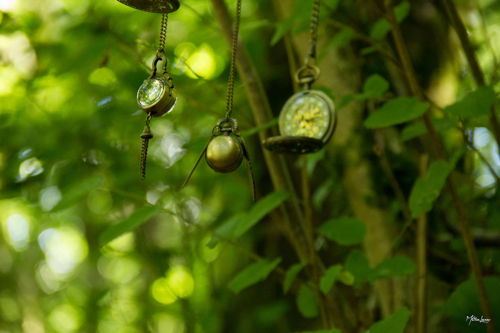 Advent Time - Working Preacher from Luther Seminary